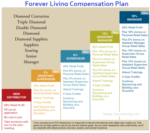 Is Forever Living A Pyramid Scheme Or Scam? [Find Out Before Joining ...