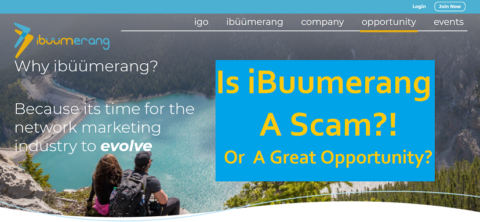 Is iBuumerang A Scam? [A Dream Business Or A Pyramid Scheme ...